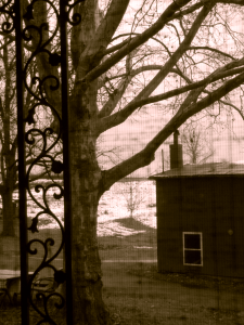 Poem: Advent 1 | Mockingbird Chronicles