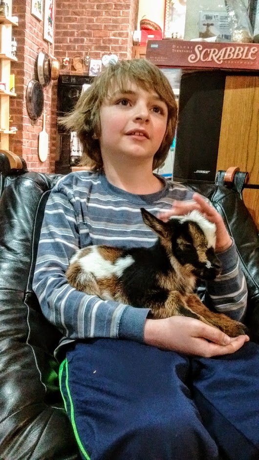 birth – Mockingbird Chronicles