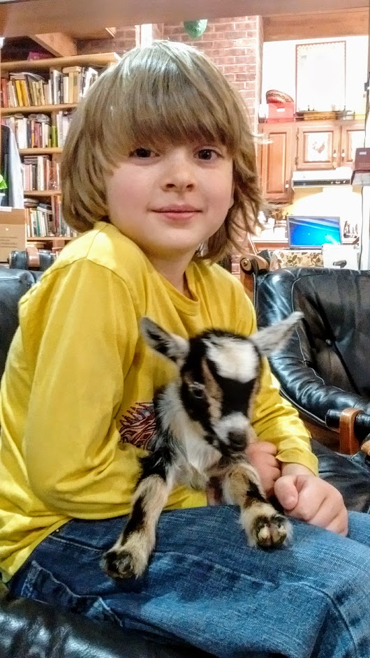 birth – Mockingbird Chronicles