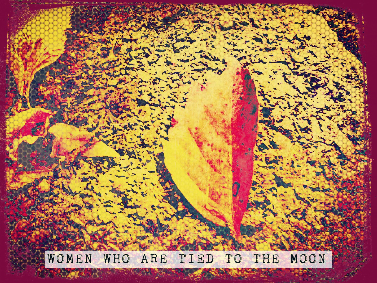 Moon | Mockingbird Chronicles