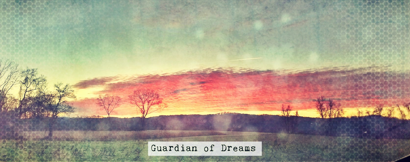 pinkcloud | Mockingbird Chronicles