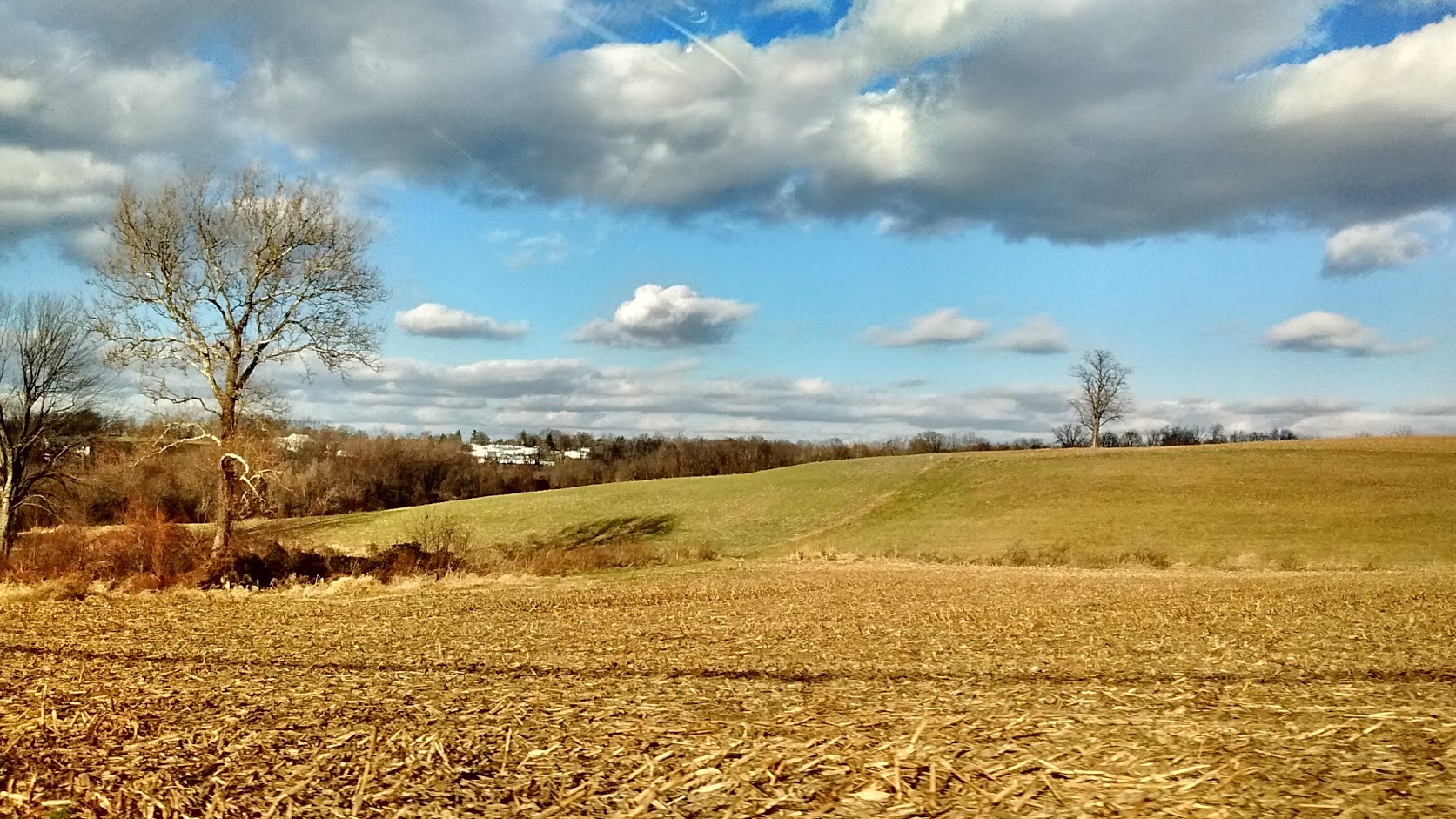 Dystopia | Mockingbird Chronicles