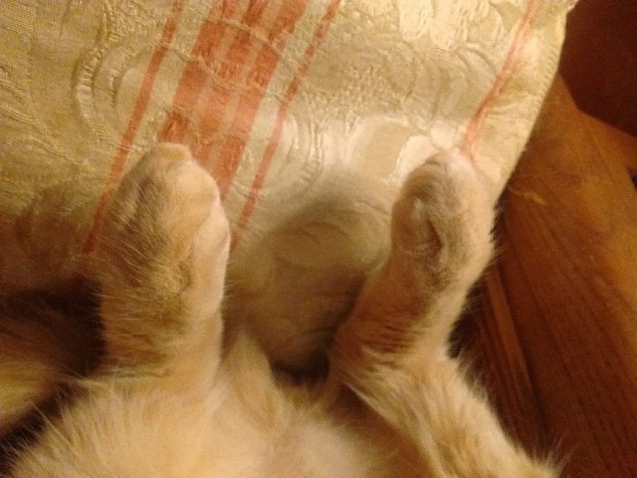 Sweetfeet | Mockingbird Chronicles