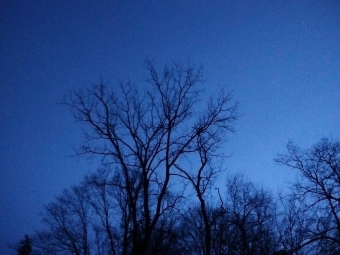 solstice | Mockingbird Chronicles