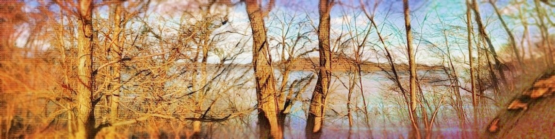 Eyes Full of Language – Mockingbird Chronicles