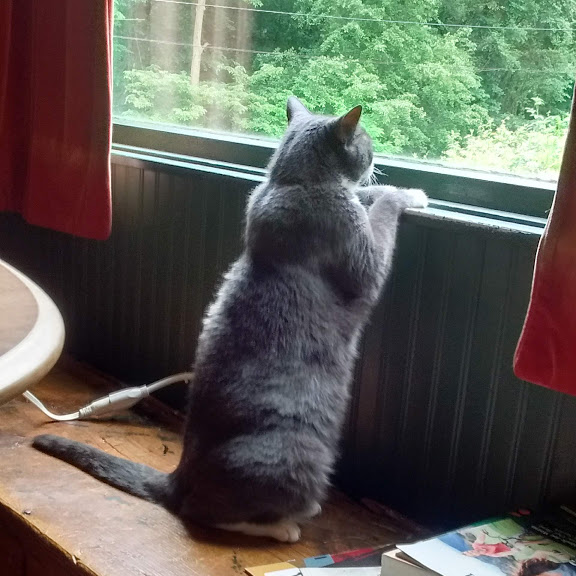 challenge | Mockingbird Chronicles