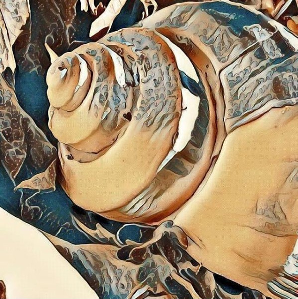 What is the Name of the Song? | Mockingbird Chronicles