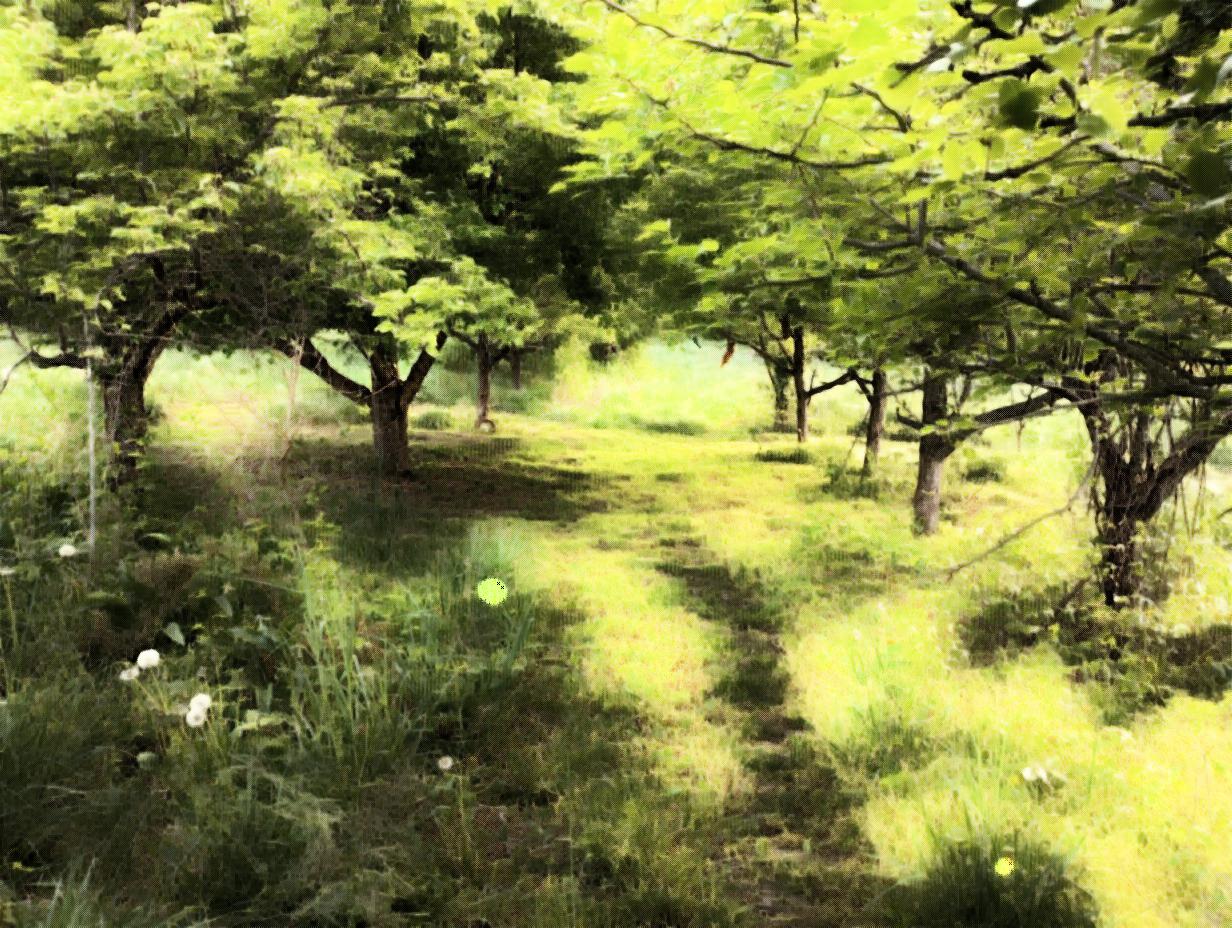 How Energy Flows | Mockingbird Chronicles