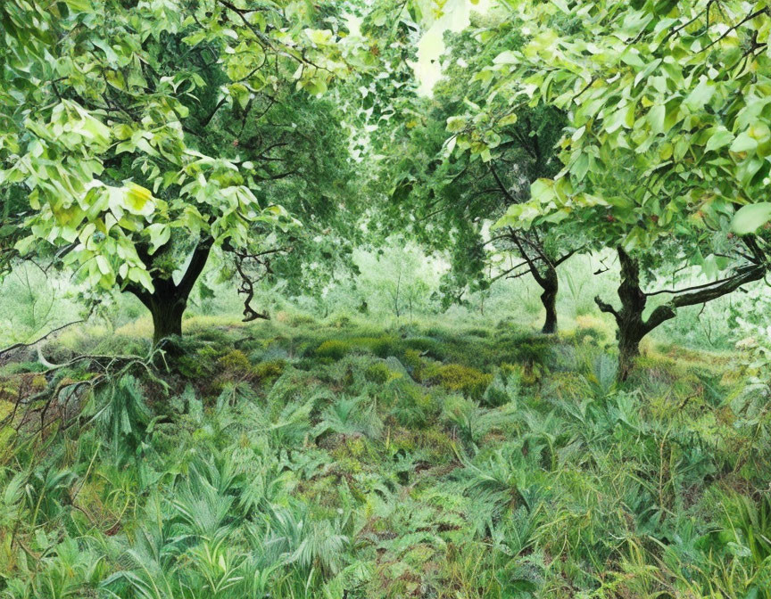 The Glorious Mysteries | Mockingbird Chronicles