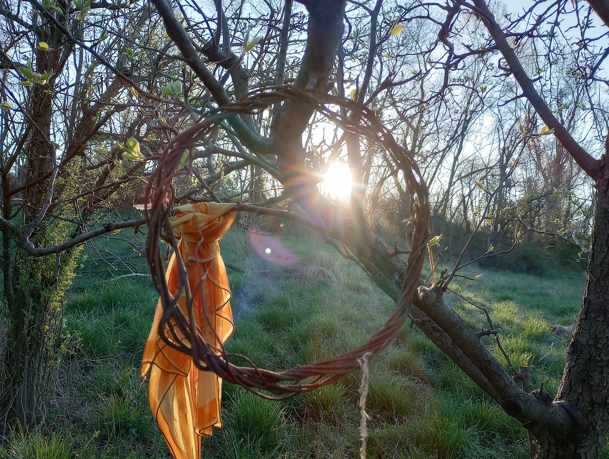 Out of the Box – Mockingbird Chronicles