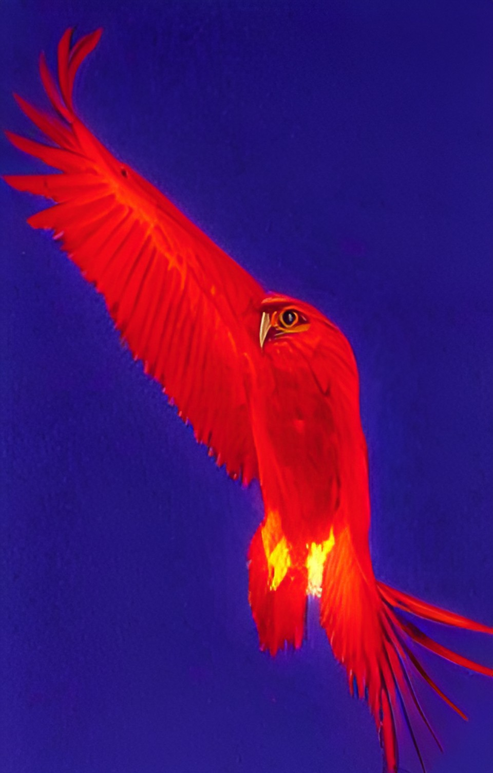 Prompt : Forgiveness | Mockingbird Chronicles