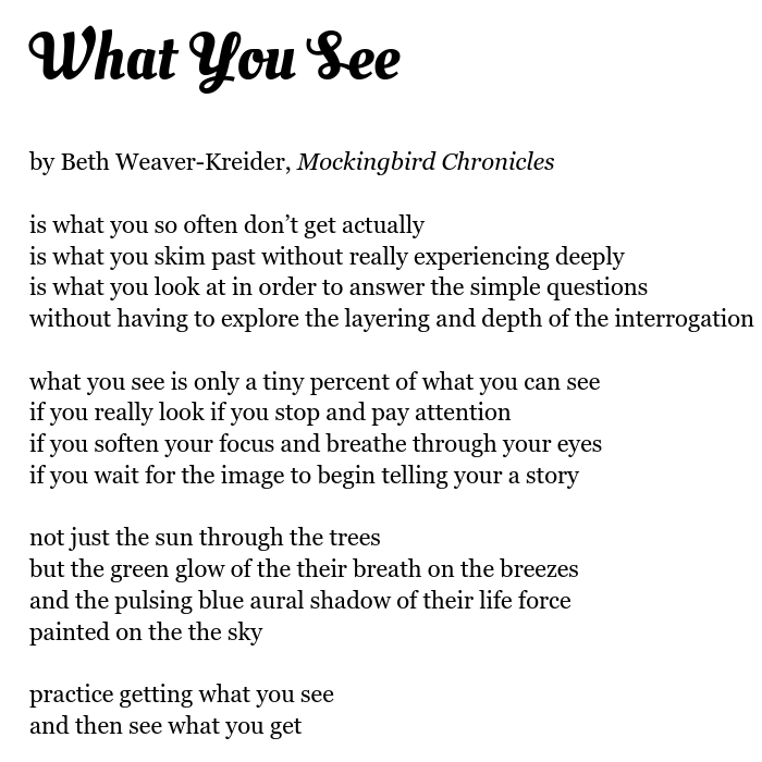 What You See | Mockingbird Chronicles