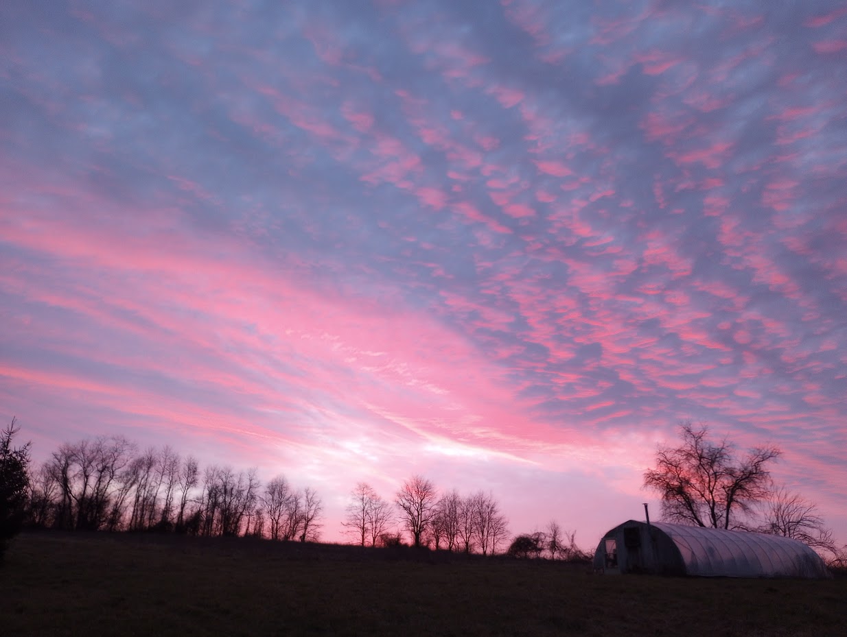 Duskwalking | Mockingbird Chronicles