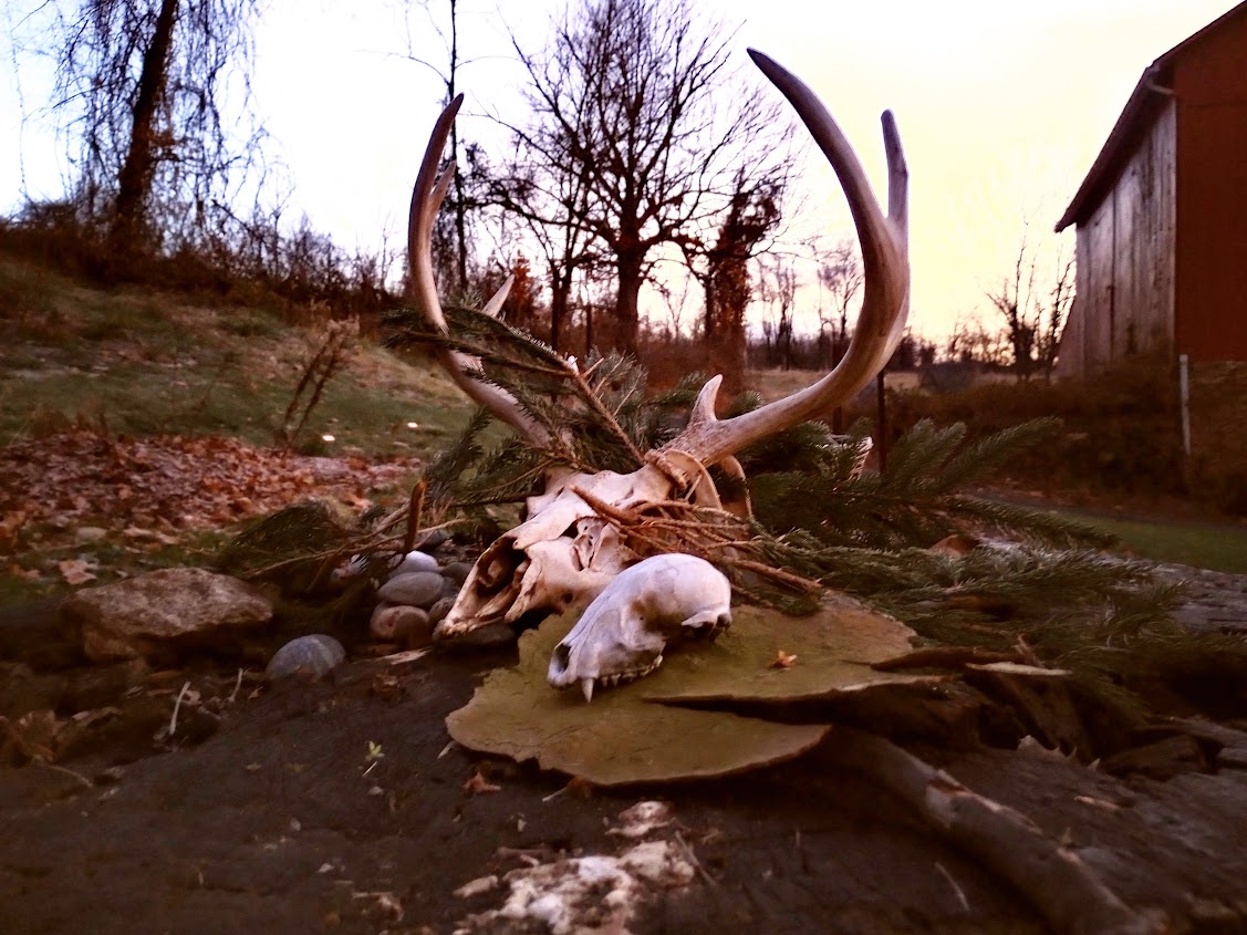 Holding the World In His Antlers | Mockingbird Chronicles