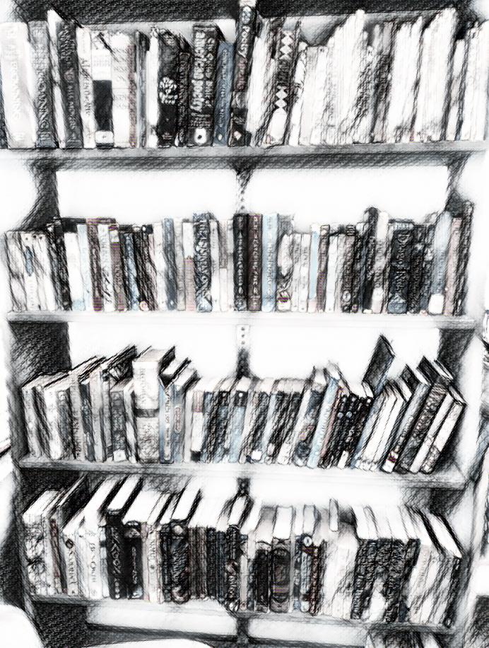 Librarians | Mockingbird Chronicles