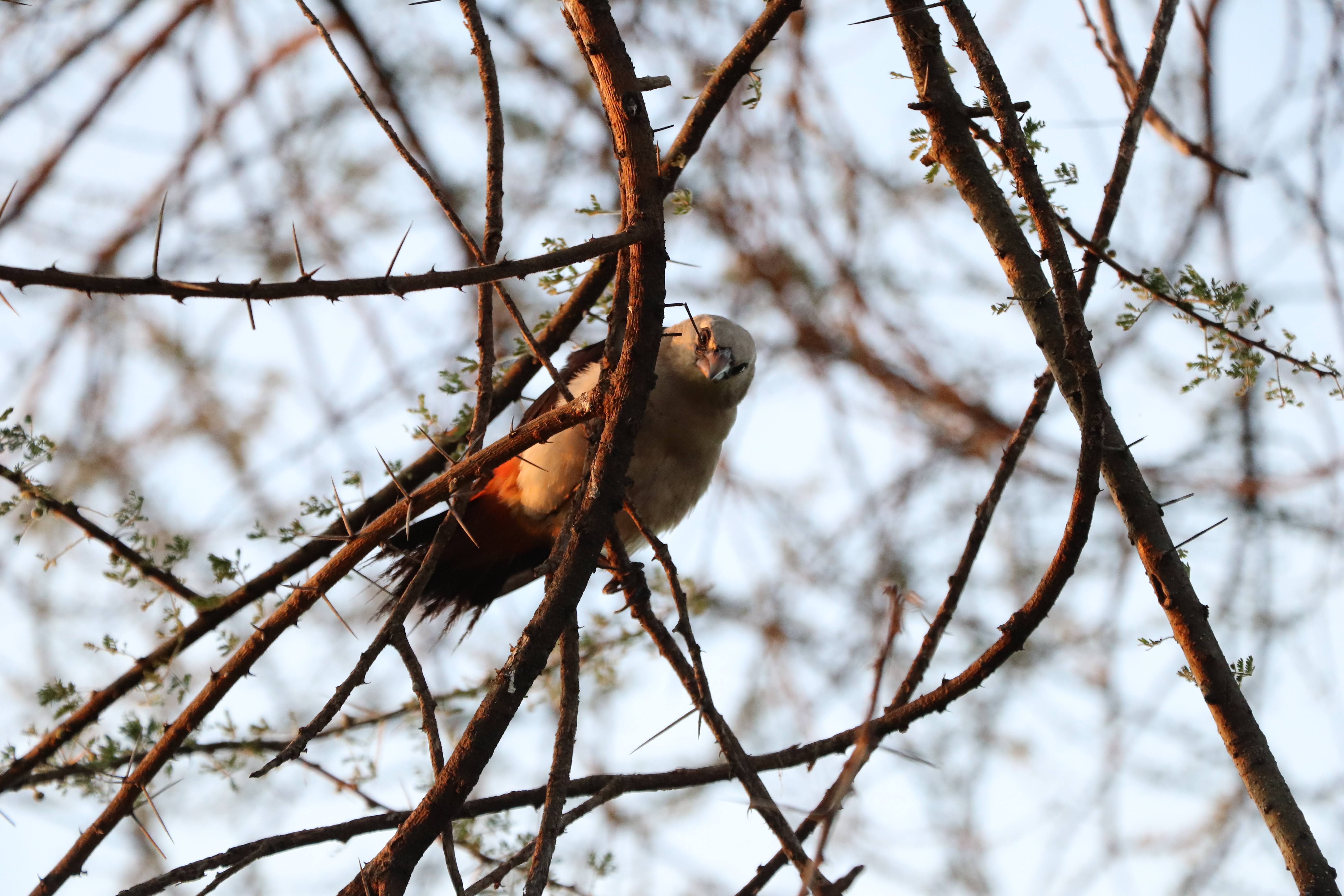 Ask Some Questions | Mockingbird Chronicles