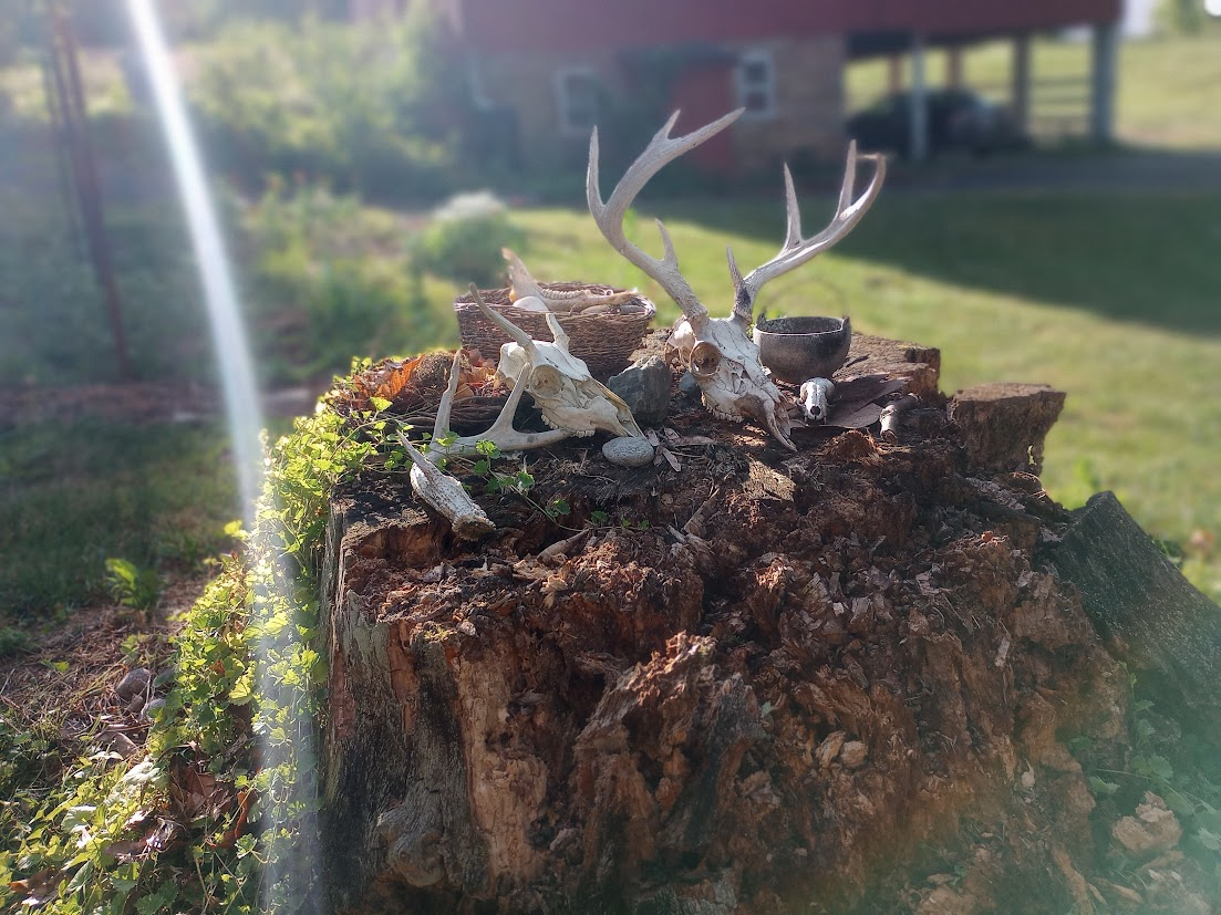 First Conjuring | Mockingbird Chronicles