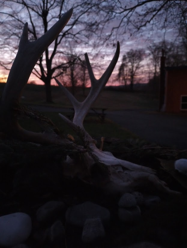 Mysteries of the Dark | Mockingbird Chronicles