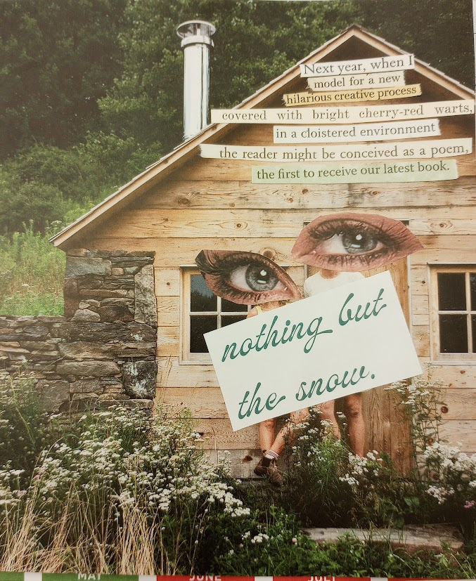 Found Poem: Nothing but the Snow | Mockingbird Chronicles