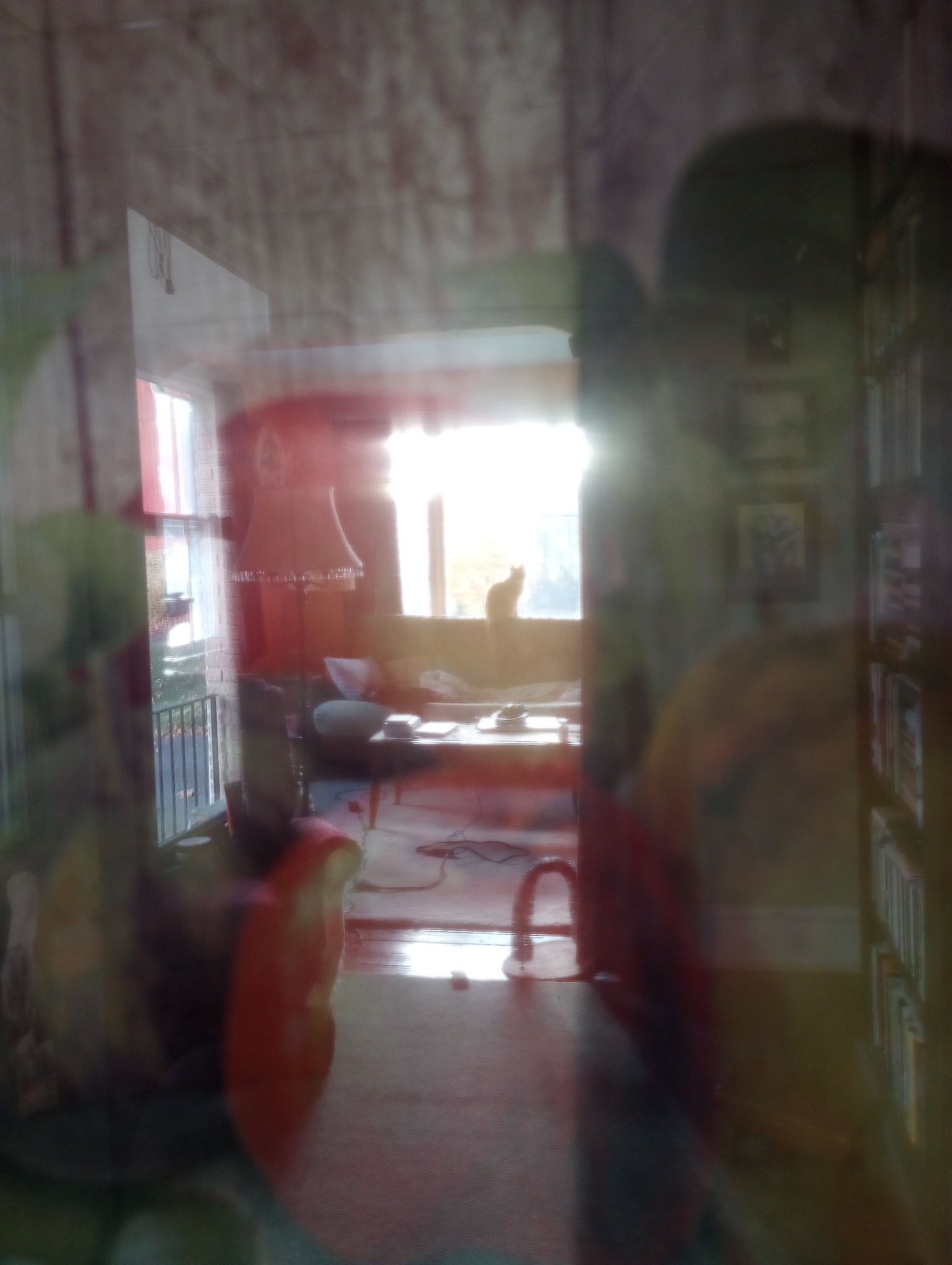 Grounding | Mockingbird Chronicles