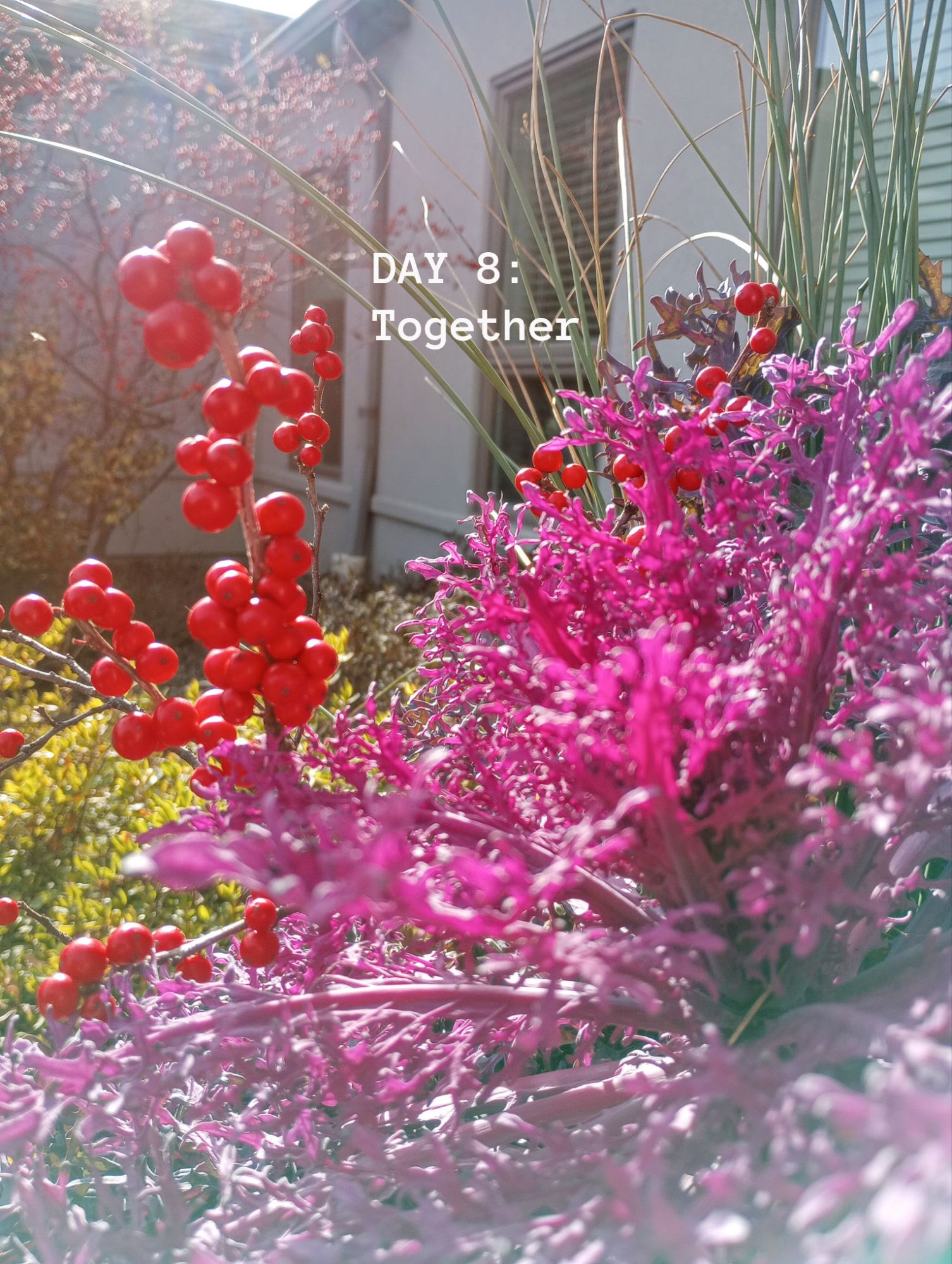 Together | Mockingbird Chronicles