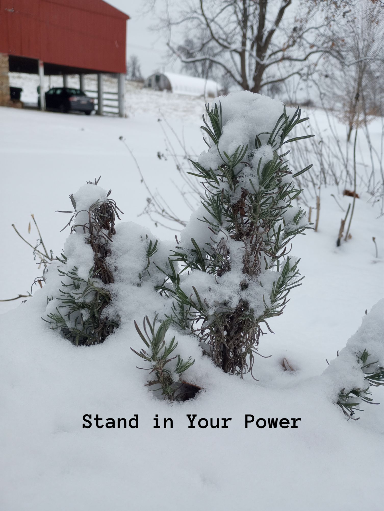 Stand in Your Power | Mockingbird Chronicles