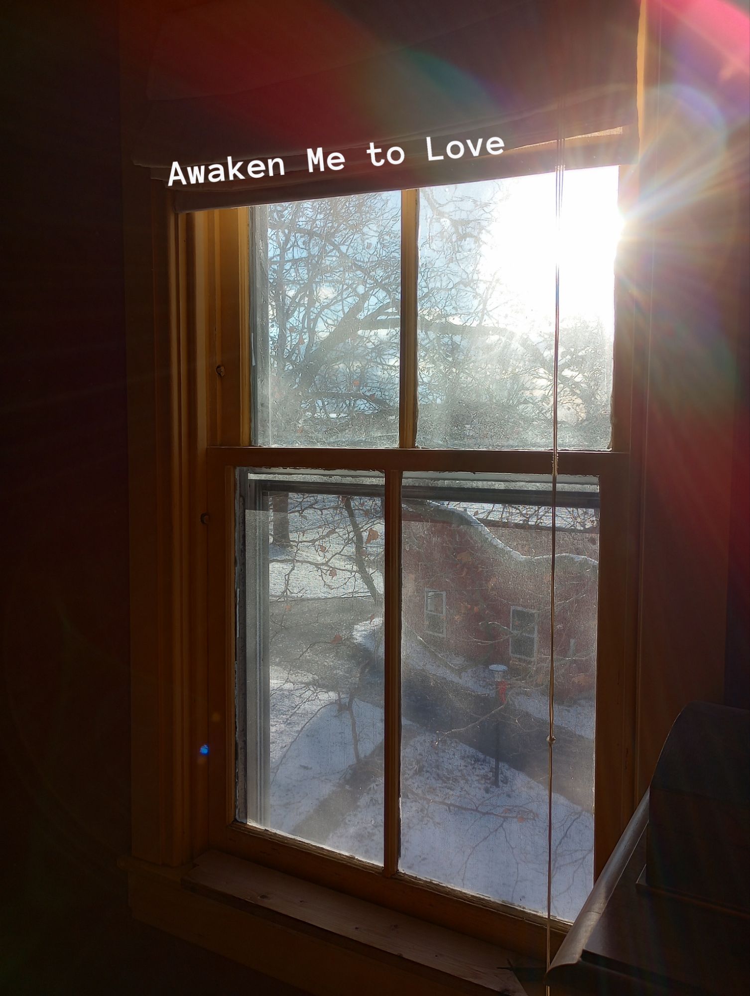 Awaken Me to Love | Mockingbird Chronicles