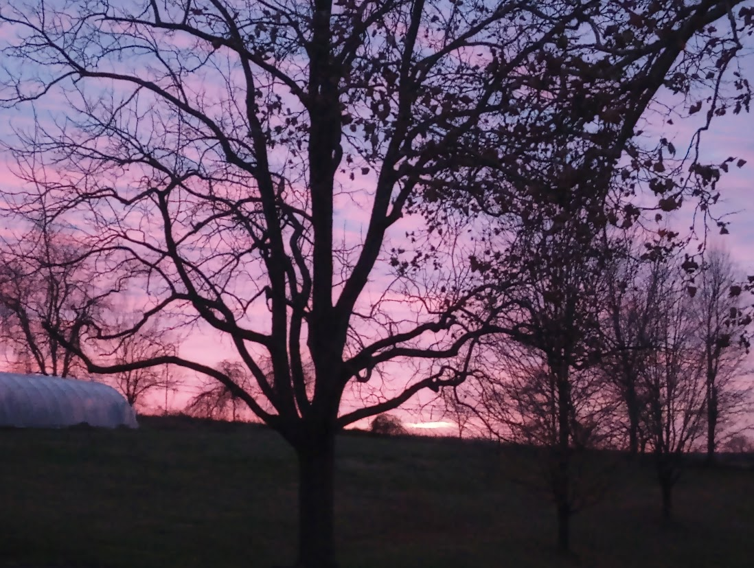 Funny, Isn’t It? | Mockingbird Chronicles