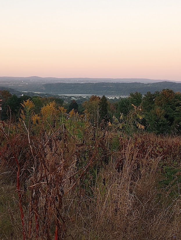 Cast Off | Mockingbird Chronicles